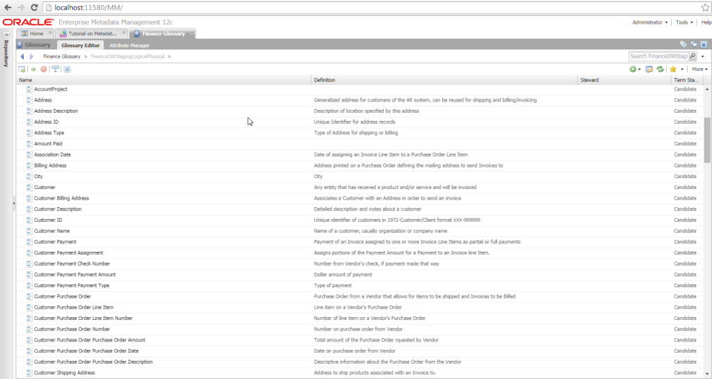 Announcing Availability of Oracle Enterprise Metadata Management