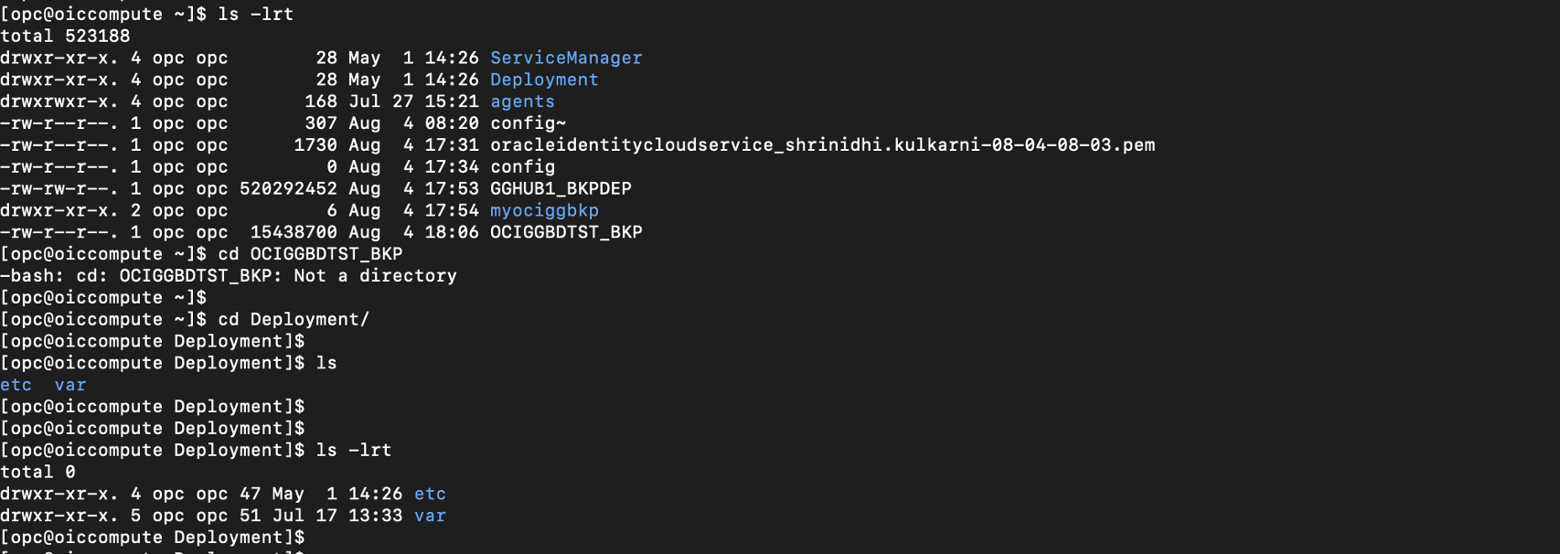 Access Oci Goldengate Deployment Backup As Regular Filesystem Using