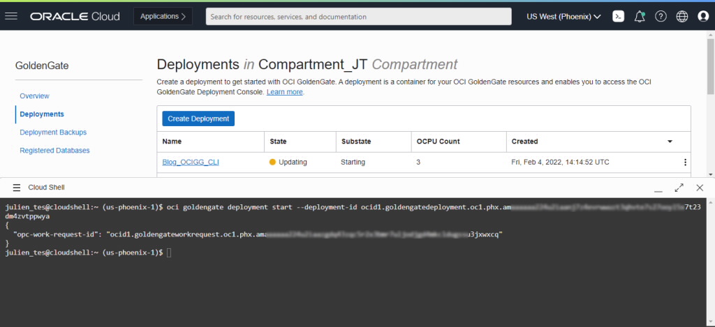 Using Oracle Cloud Infrastructure Oci Command Line Interface Cli With Oci Goldengate